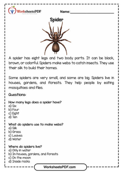Insects Reading Comprehension - Worksheets PDF