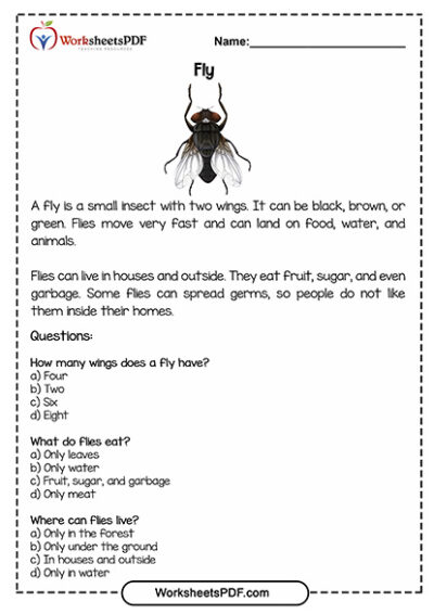 Insects Reading Comprehension - Worksheets PDF