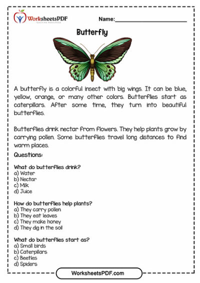 Insects Reading Comprehension - Worksheets PDF